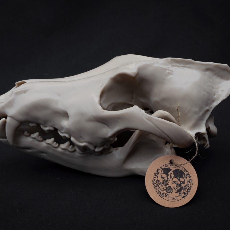 3d Fox Skull Mask - Etsy UK