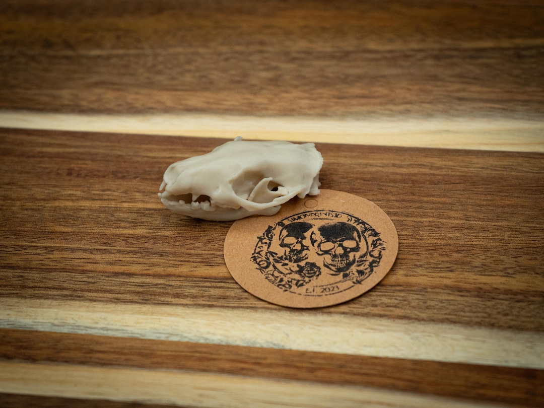 Hedgehog Skull Replica – Life Size 3D Printed Bone White | Gothic Décor ...