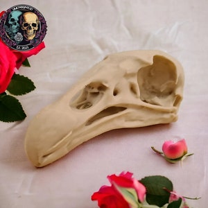 Black Vulture Skull Replica – Life Size 3D Printed Bone White | Gothic ...