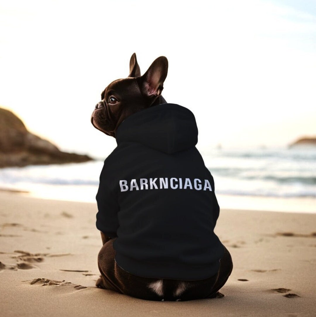 Reflective Dog Sweater Designer Dog Clothes Small Large Dogs Barknciaga ...