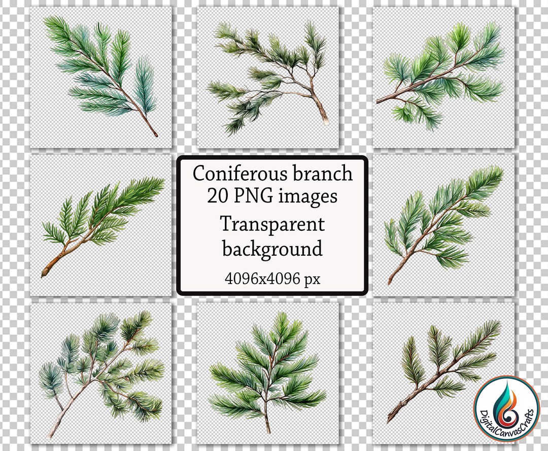 Coniferous Tree Branches Set, 20 PNG Images With Transparent Background ...