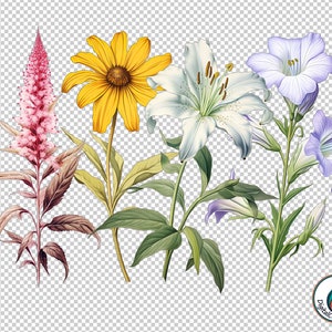 Flowers Clip Art Set - 30 PNG Images With Transparent Background ...