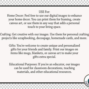 Elegant Rose PNG With Transparent Background - Digital Clipart for ...