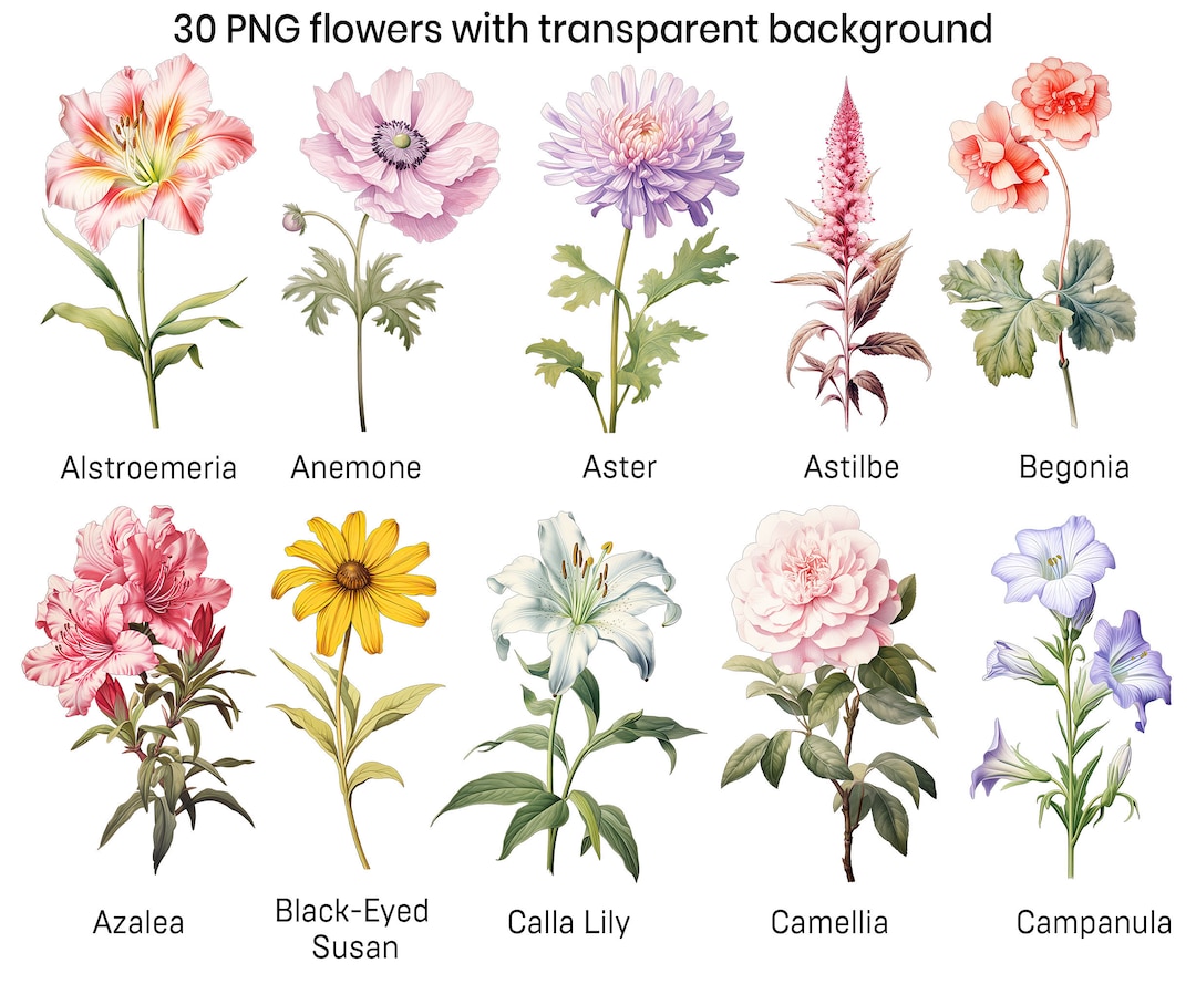 Flowers Clip Art Set - 30 PNG Images With Transparent Background ...