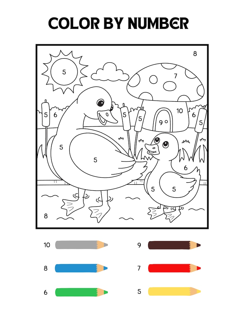 11 Coloring Pages by Number Color by Numbers Color by Number Exercises ...