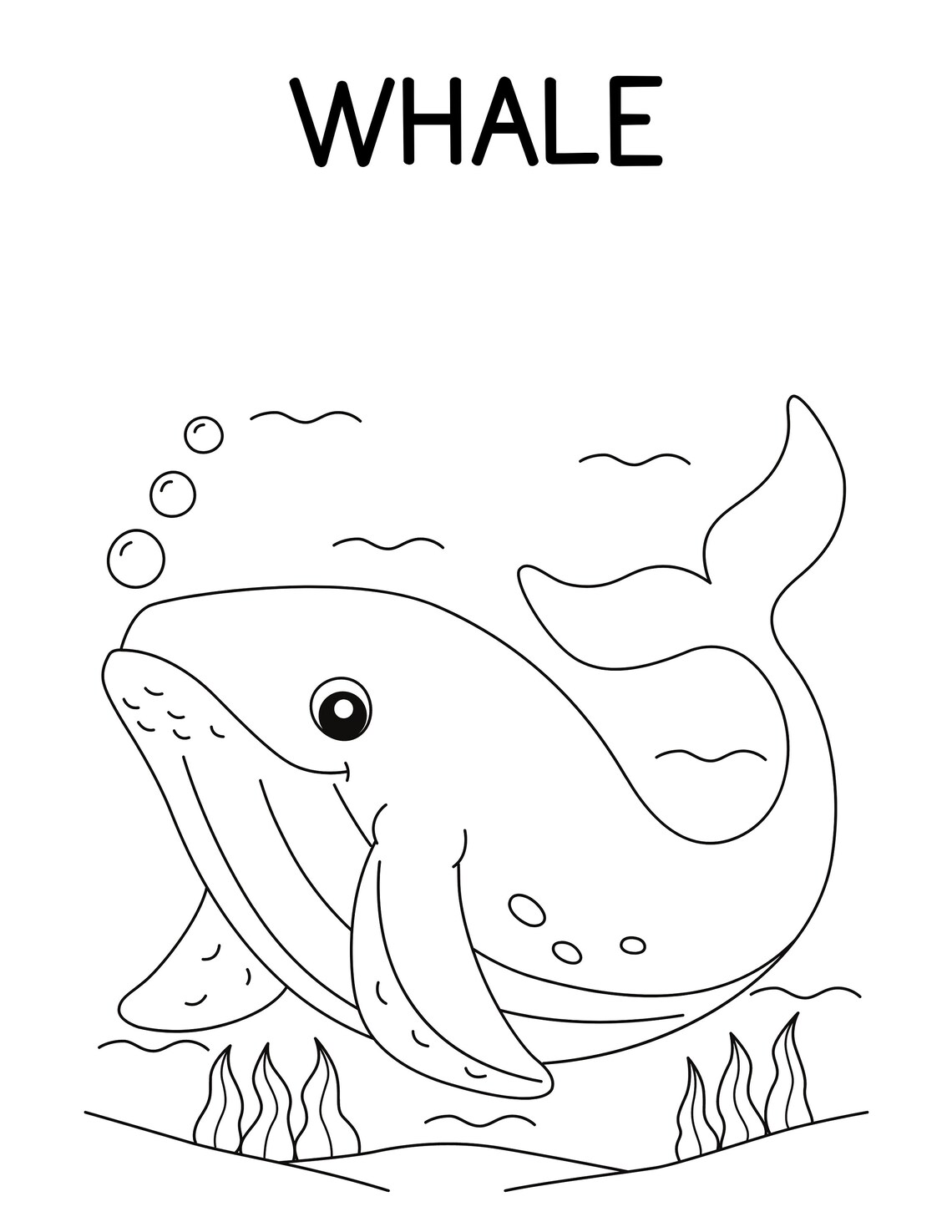 23 Printable Drawings of Marine Animals to Color Sea Animals Coloring ...