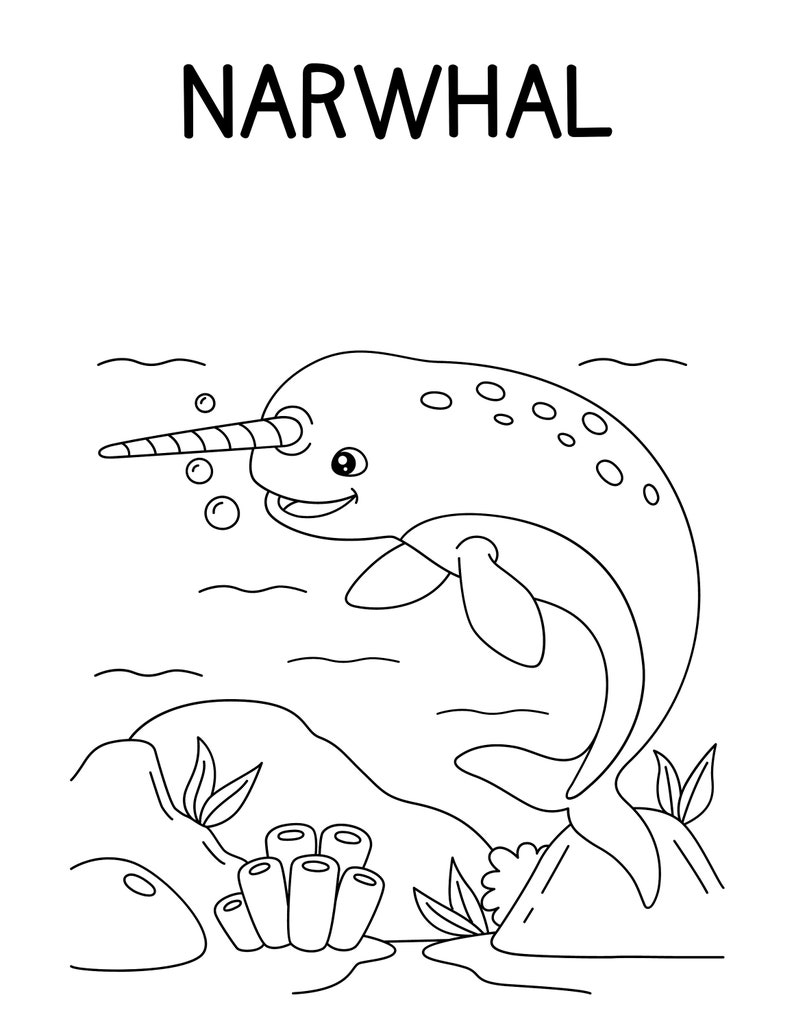 23 Printable Drawings of Marine Animals to Color Sea Animals Coloring ...