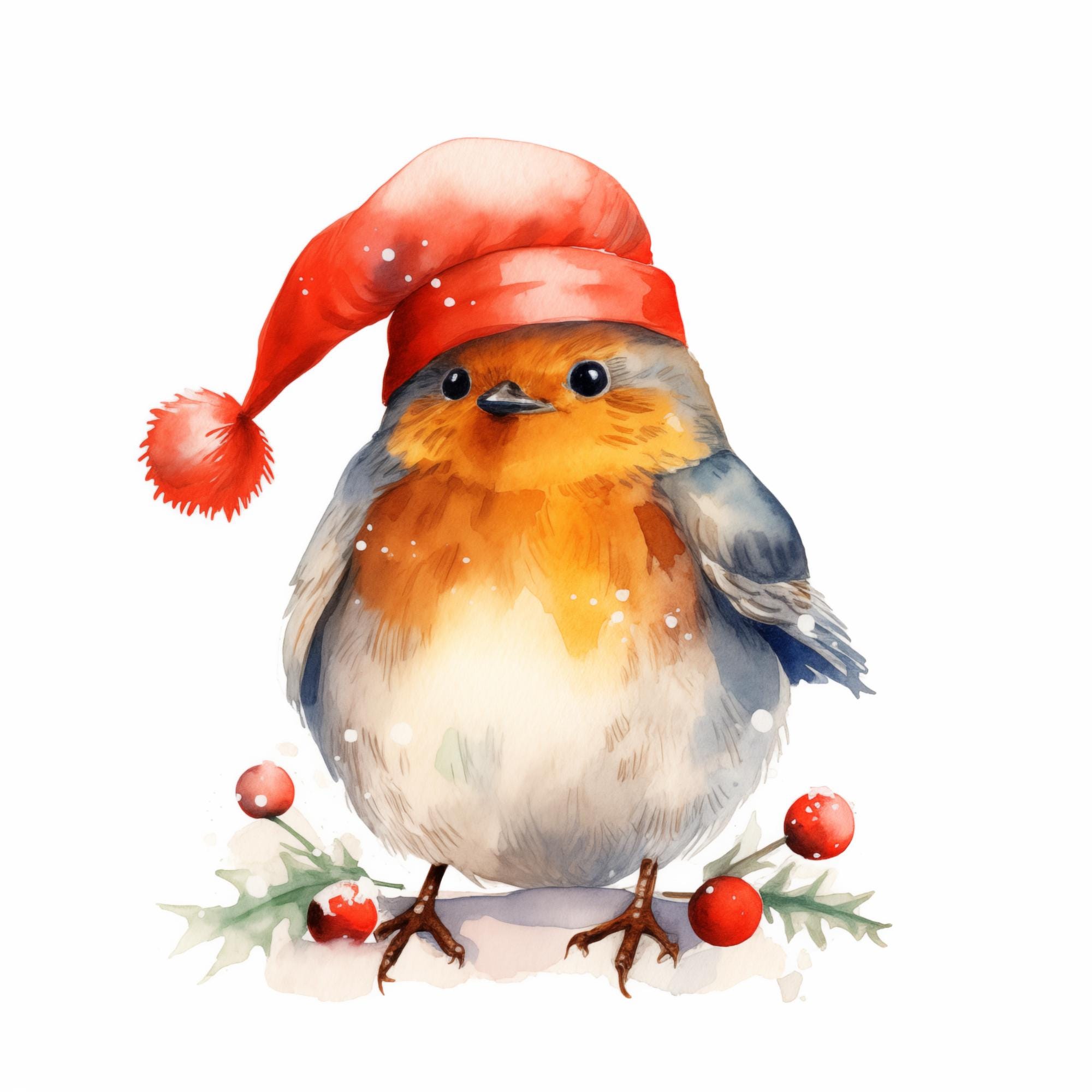 12 Christmas Robin Clipart, Printable Watercolor Clipart, Wall Art ...