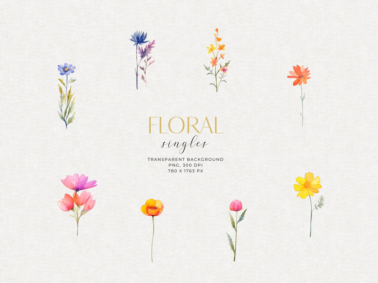Meadow Watercolor Flower Clipart, Floral Clipart, Wildflowers Floral ...
