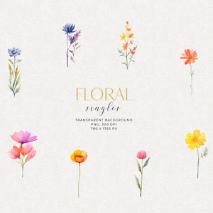 Meadow Watercolor Flower Clipart, Floral Clipart, Wildflowers Floral ...