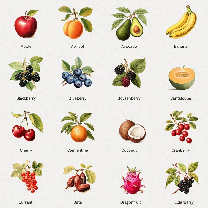 78 Vintage Fruits & Vegetables Clipart, Retro Fruits and Vegetables ...