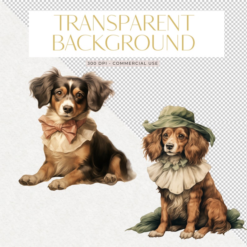 Dapper Dogs Clipart Bundle, Transparent PNG, Weird Clip Art, Junk ...