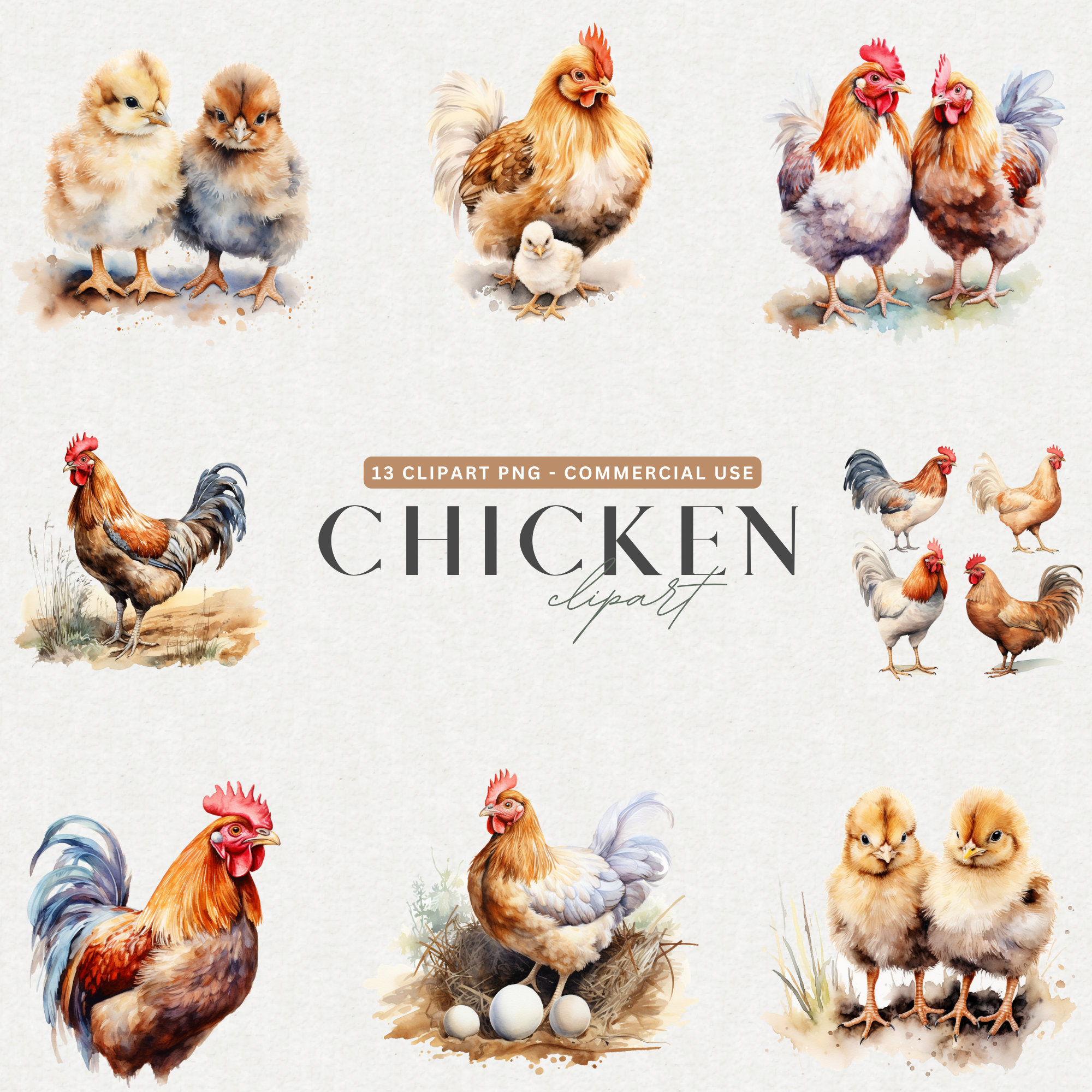 Watercolor Chicken Clipart, Chicken Watercolor, 13 Watercolor Chick ...