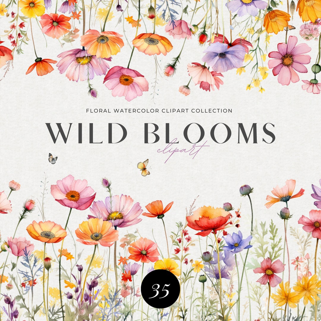 Meadow Watercolor Flower Clipart, Floral Clipart, Wildflowers Floral ...