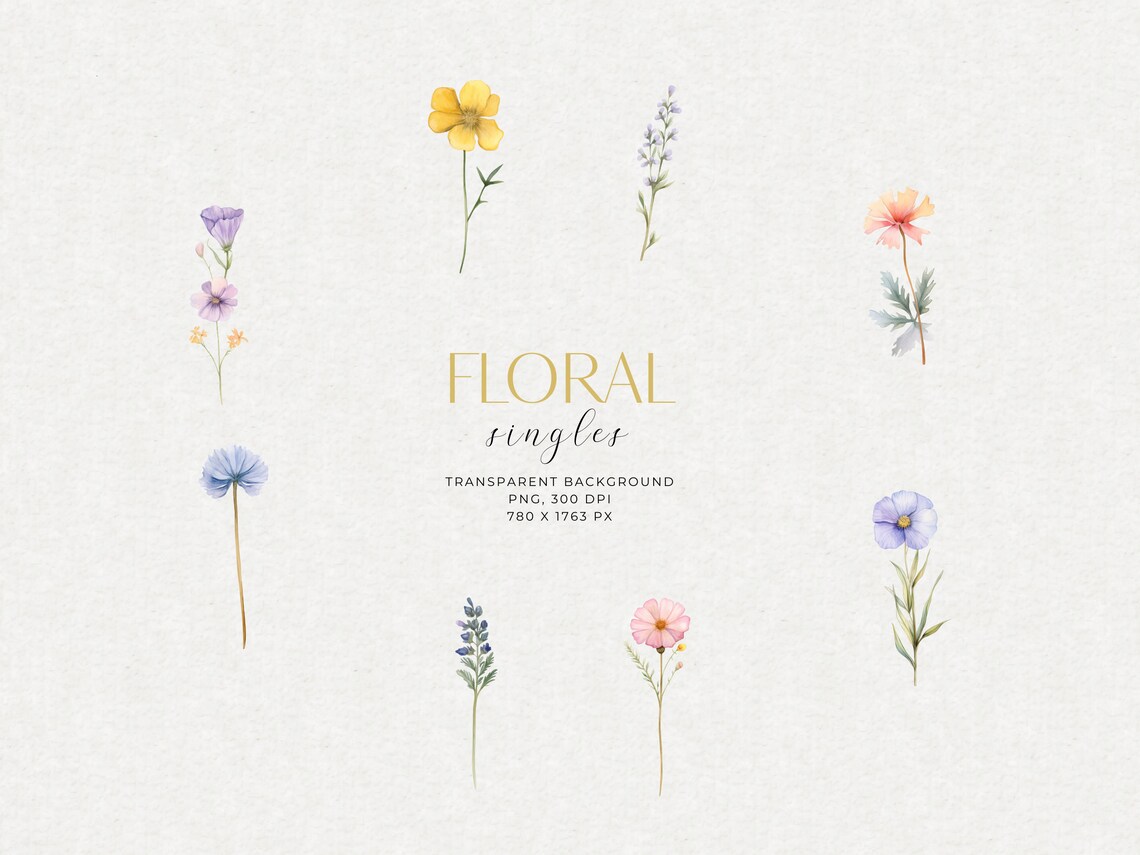 Meadow Watercolor Flower Clipart, Floral Clipart, Wildflowers Floral ...