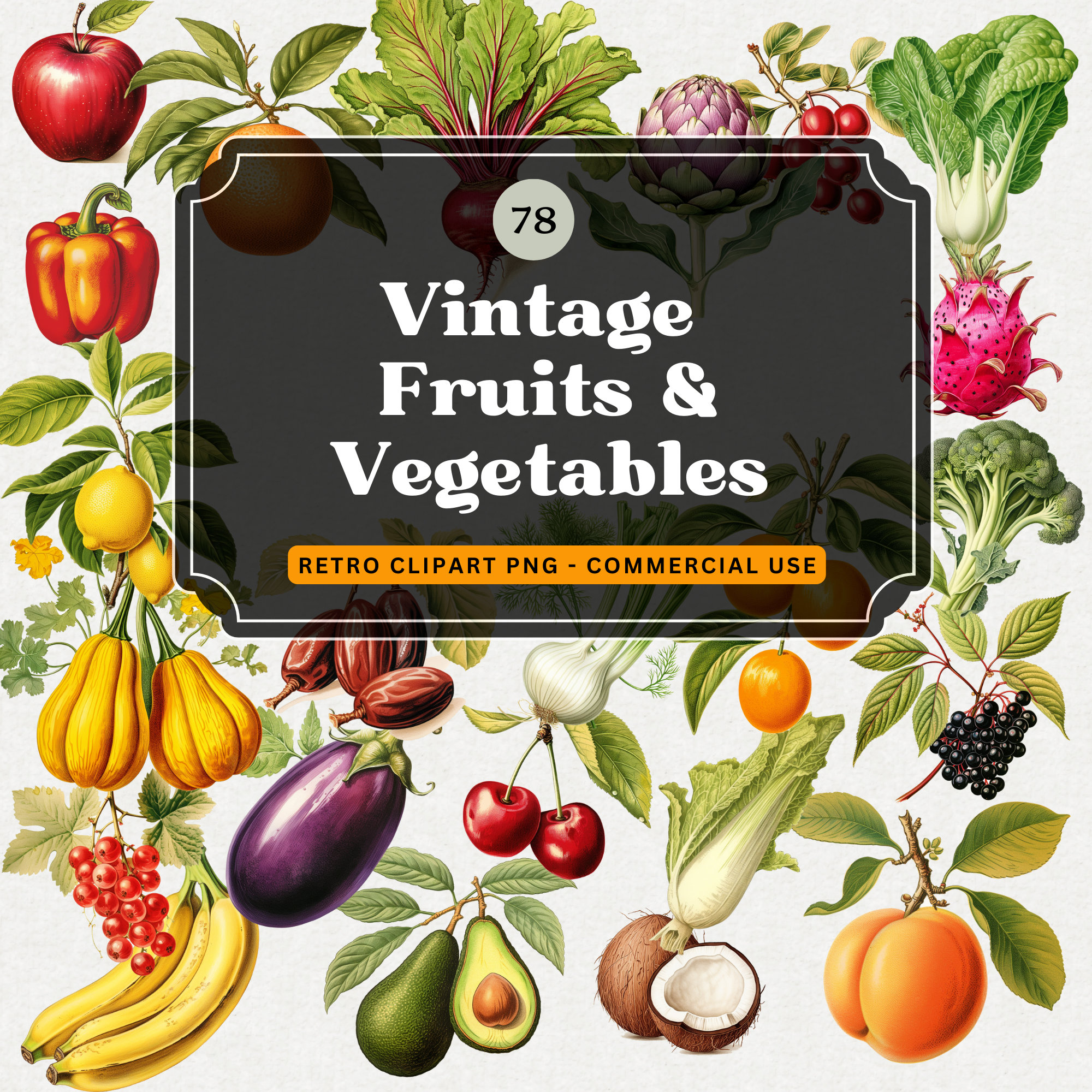 78 Vintage Fruits & Vegetables Clipart, Retro Fruits and Vegetables ...