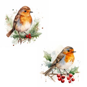 12 Christmas Robin Clipart, Printable Watercolor Clipart, Wall Art ...