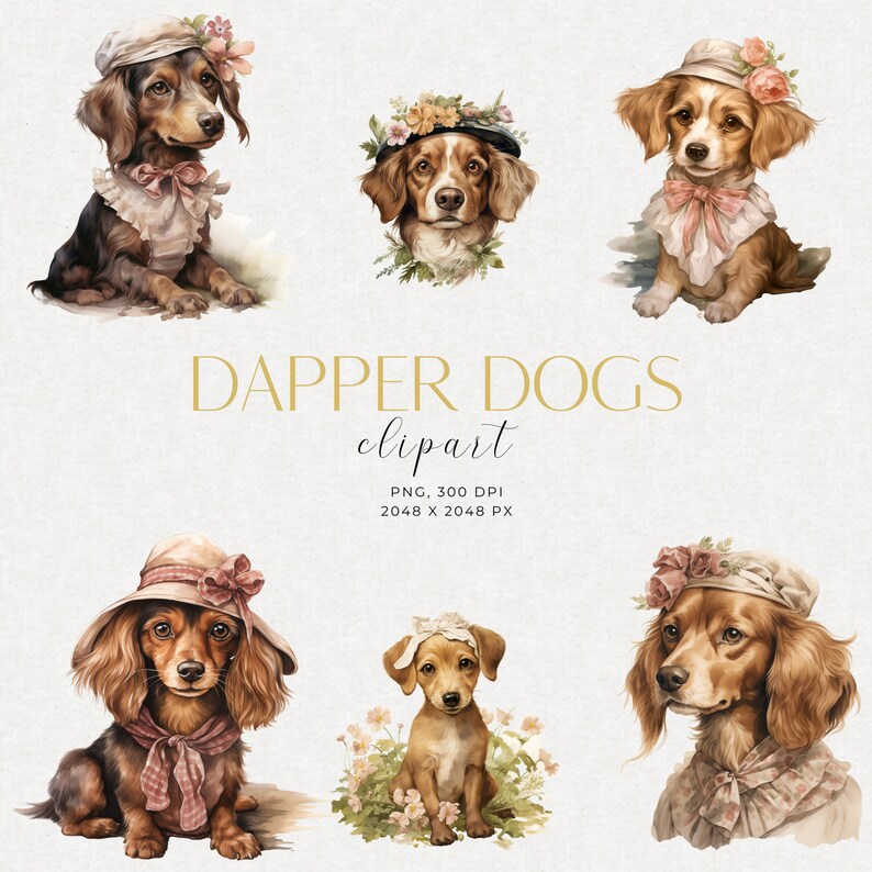 Dapper Dogs Clipart Bundle, Transparent PNG, Weird Clip Art, Junk ...
