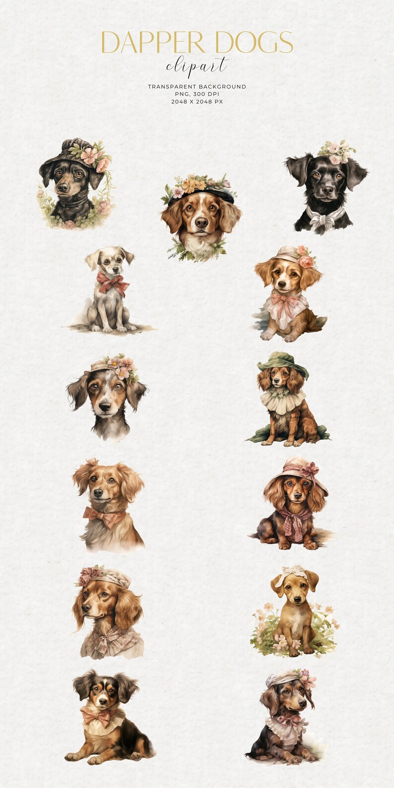 Dapper Dogs Clipart Bundle, Transparent PNG, Weird Clip Art, Junk ...