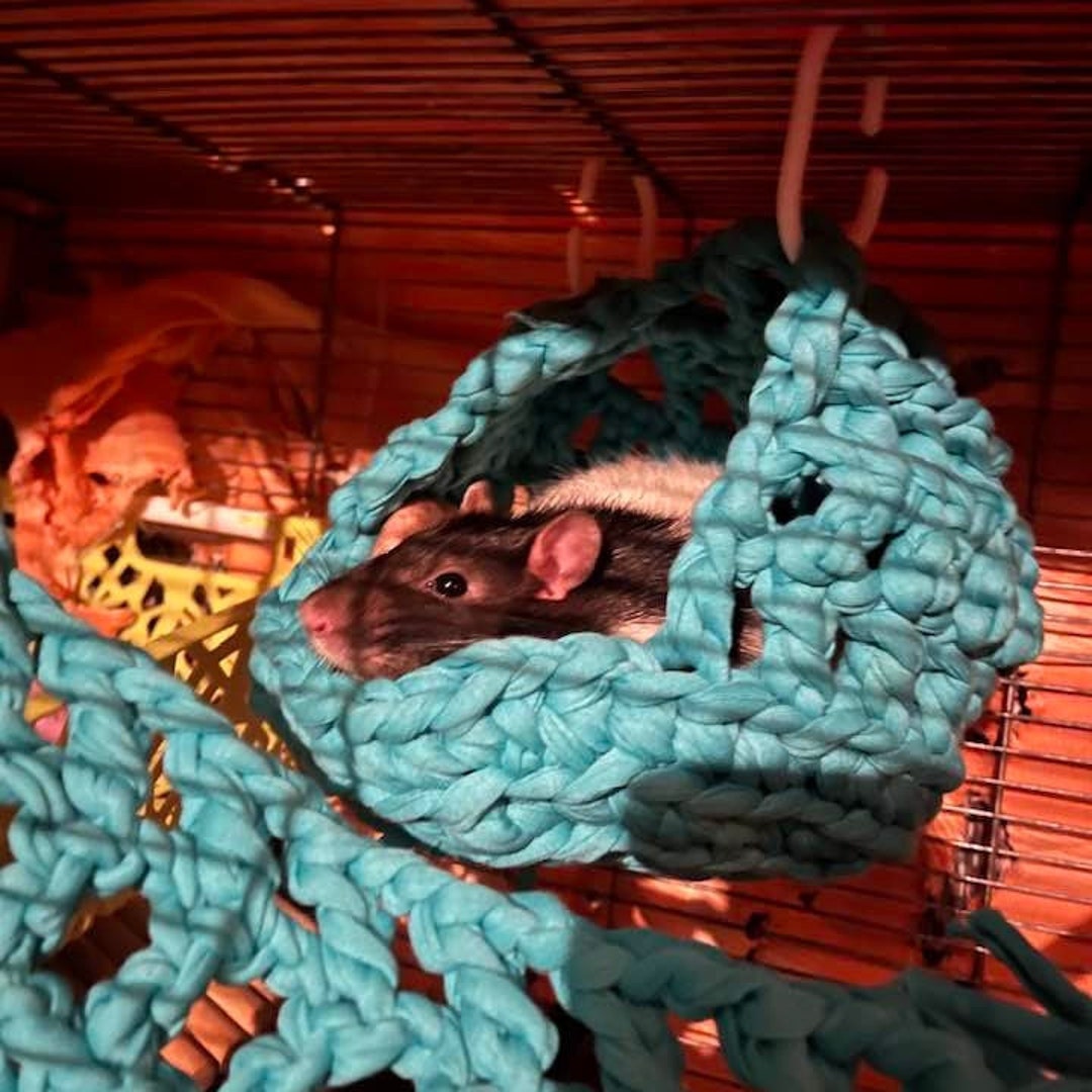 Hanging House for Rat, Rat Bed, Cage Accesssories - Etsy