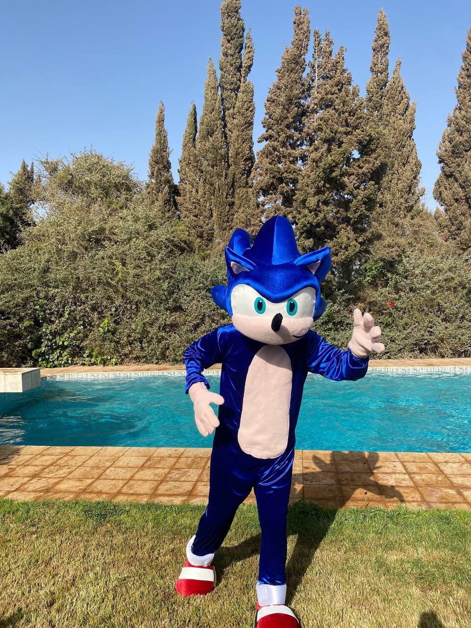 Sonic Mascot Costume Sonic the Hedgehog Party Mascot - Etsy Australia