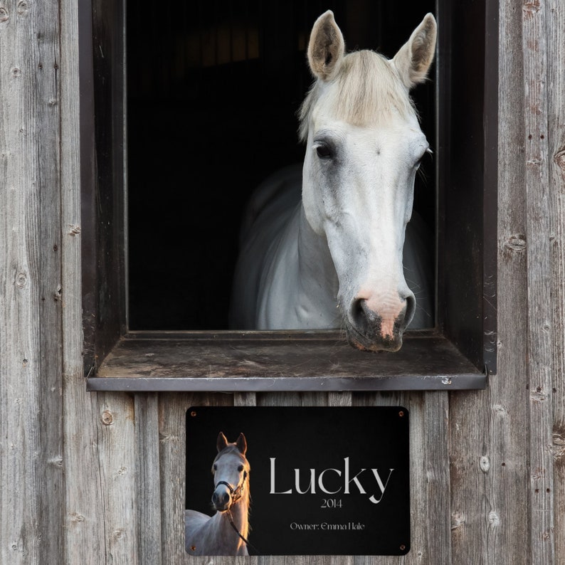 Custom Photo Horse Name Plate Personalized Horse Stall Name Sign Luxury ...