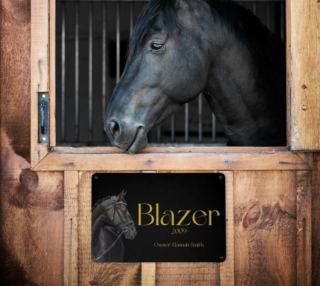 Custom Photo Horse Name Plate Personalized Horse Stall Name Sign Luxury ...