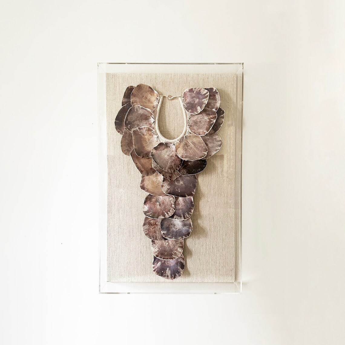 Abalone Shell Necklace Shadow Box Display | Coastal Decorative Acrylic ...