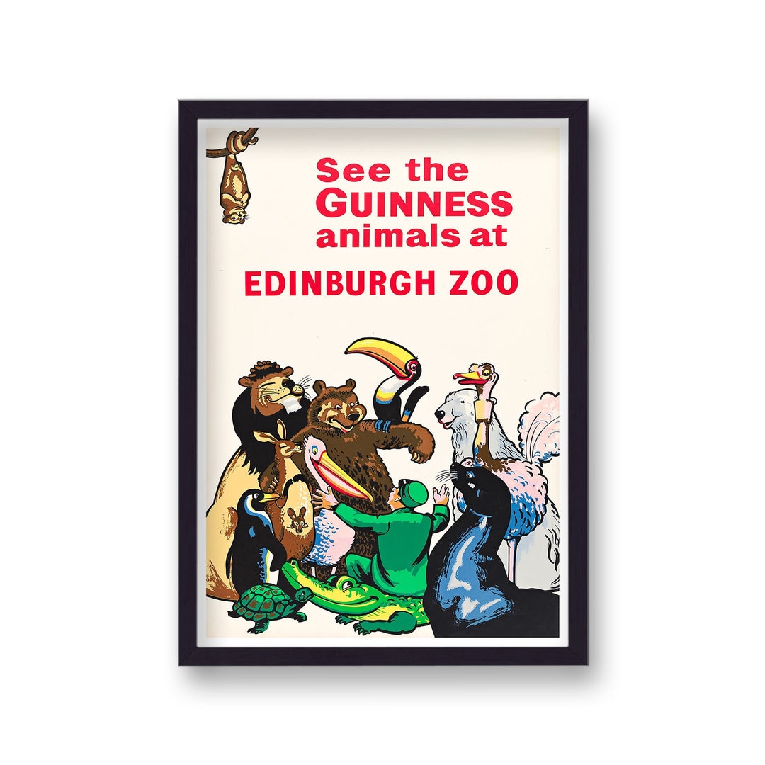 Guinness - See the Guinness Animals at Edinburgh Zoo - Etsy