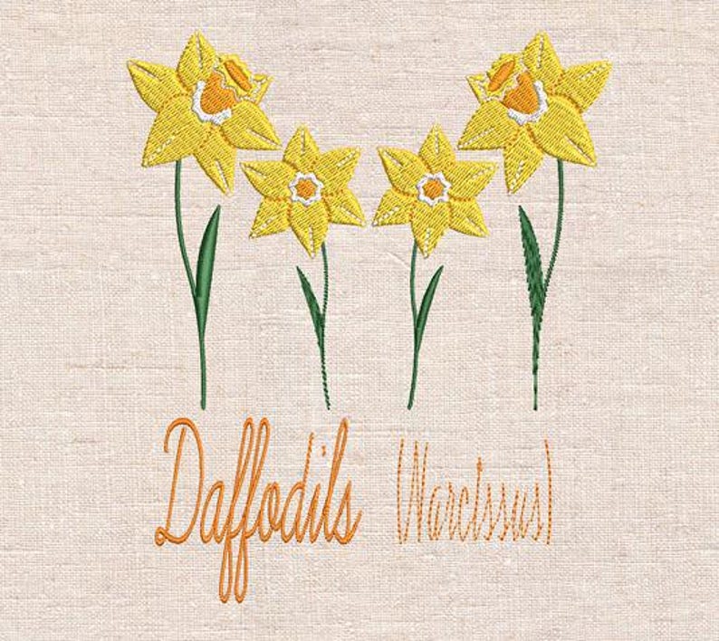 Daffodils Spring Flowers Embroidery Design: 6 Sizes (digital File) - Etsy