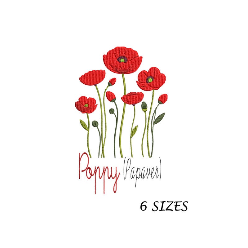 Poppy Embroidery Pattern - Etsy