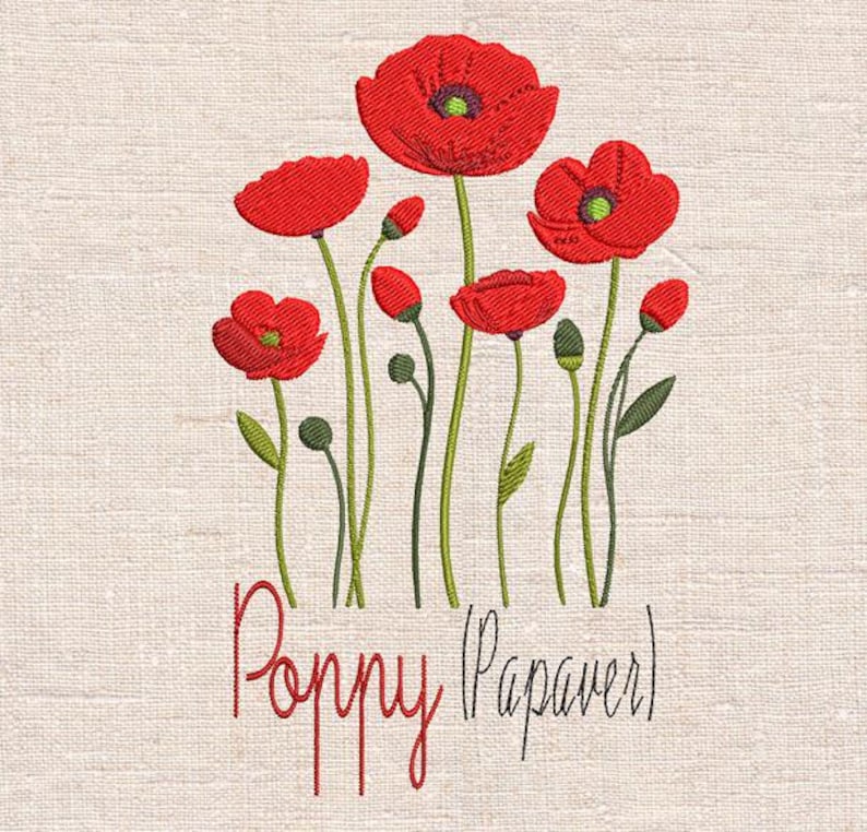 Poppy Flower Embroidery Design: Personalized Name, 6 Sizes (digital ...
