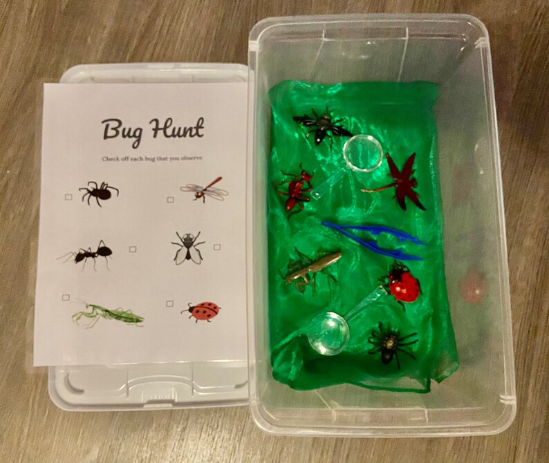 Garden Bug Hunt Sensory Bin - Etsy