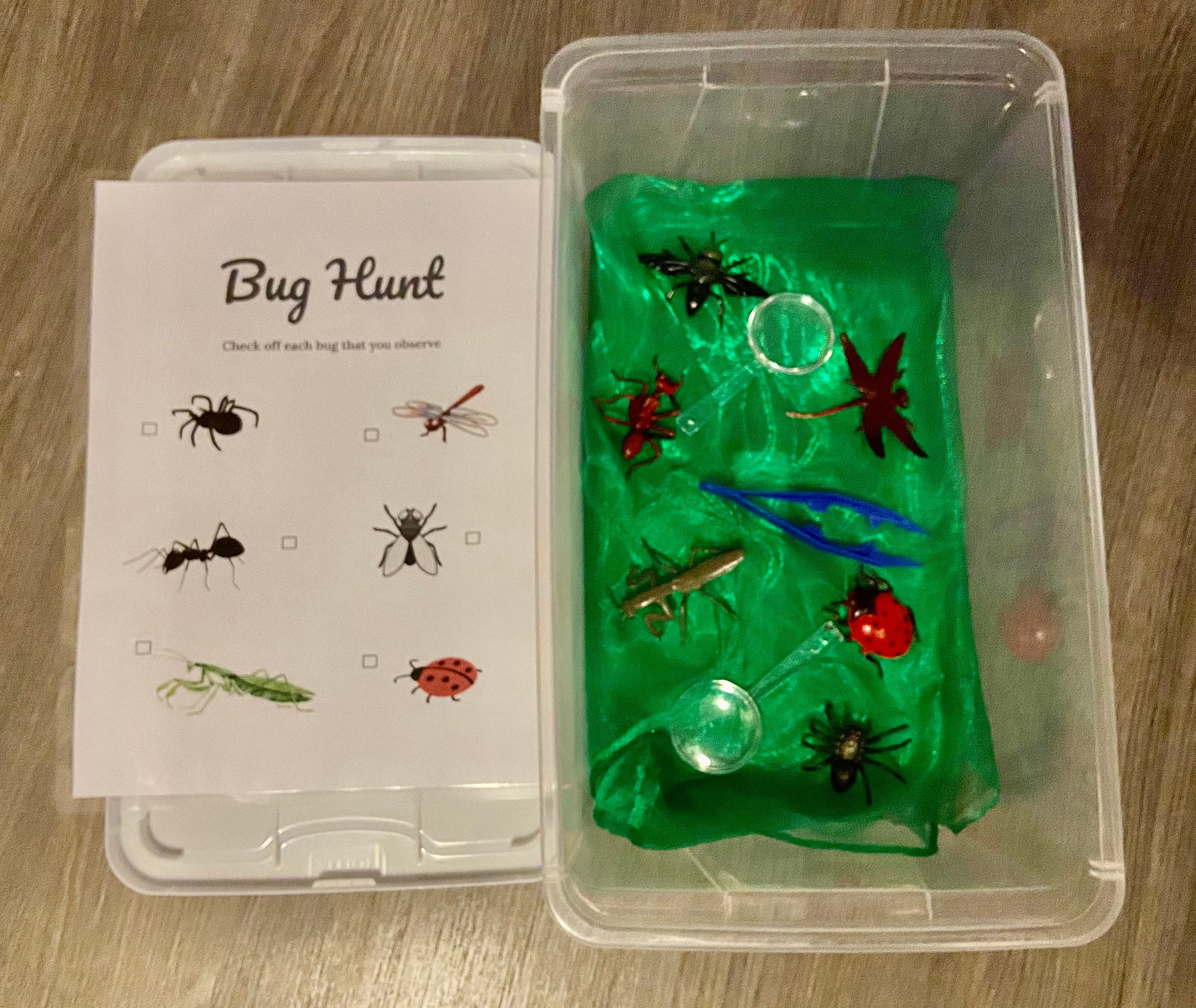 Garden Bug Hunt Sensory Bin - Etsy