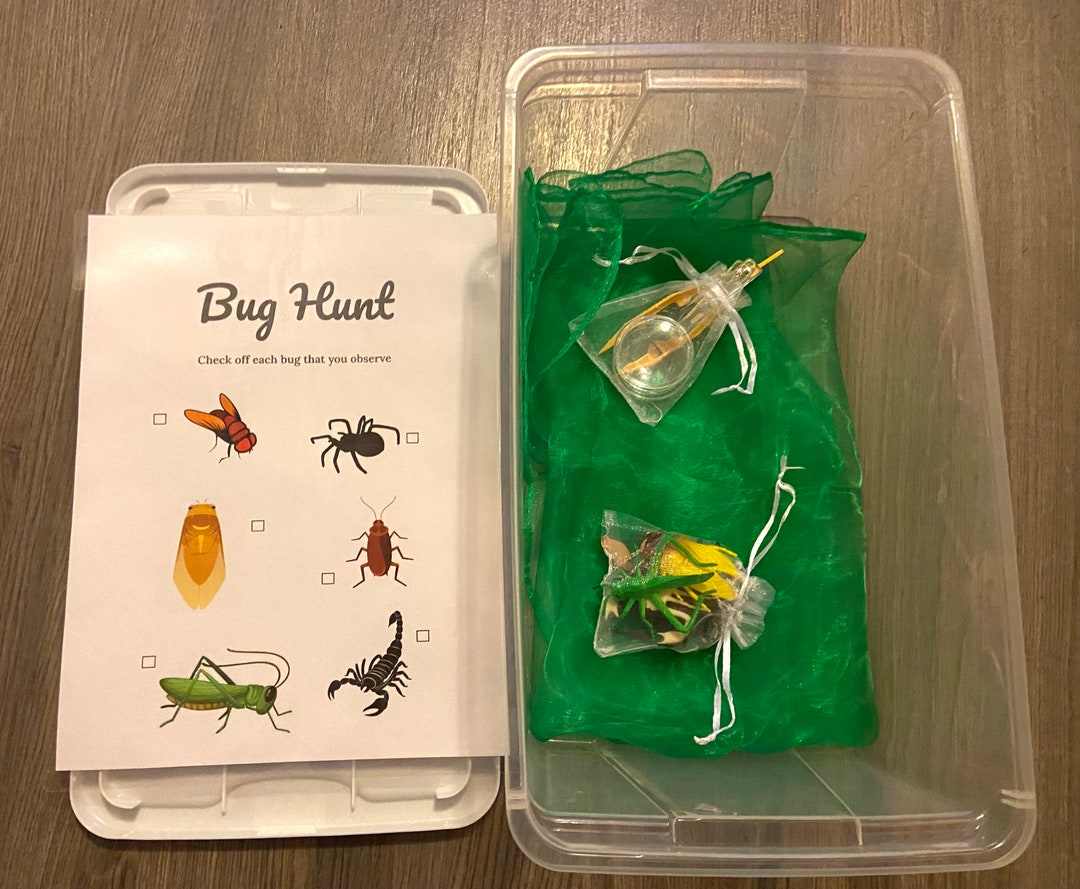 Creepy Crawler Bug Hunt Sensory Bin - Etsy