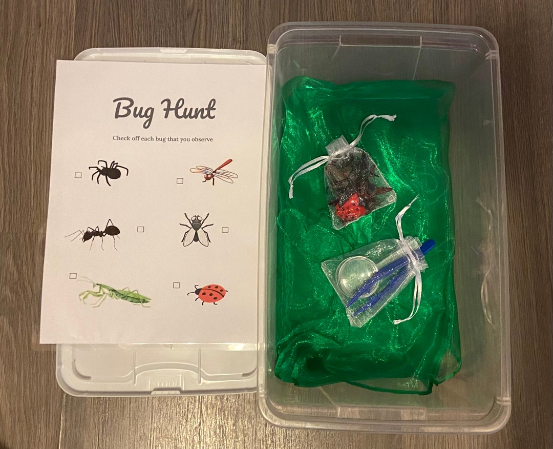 Garden Bug Hunt Sensory Bin - Etsy