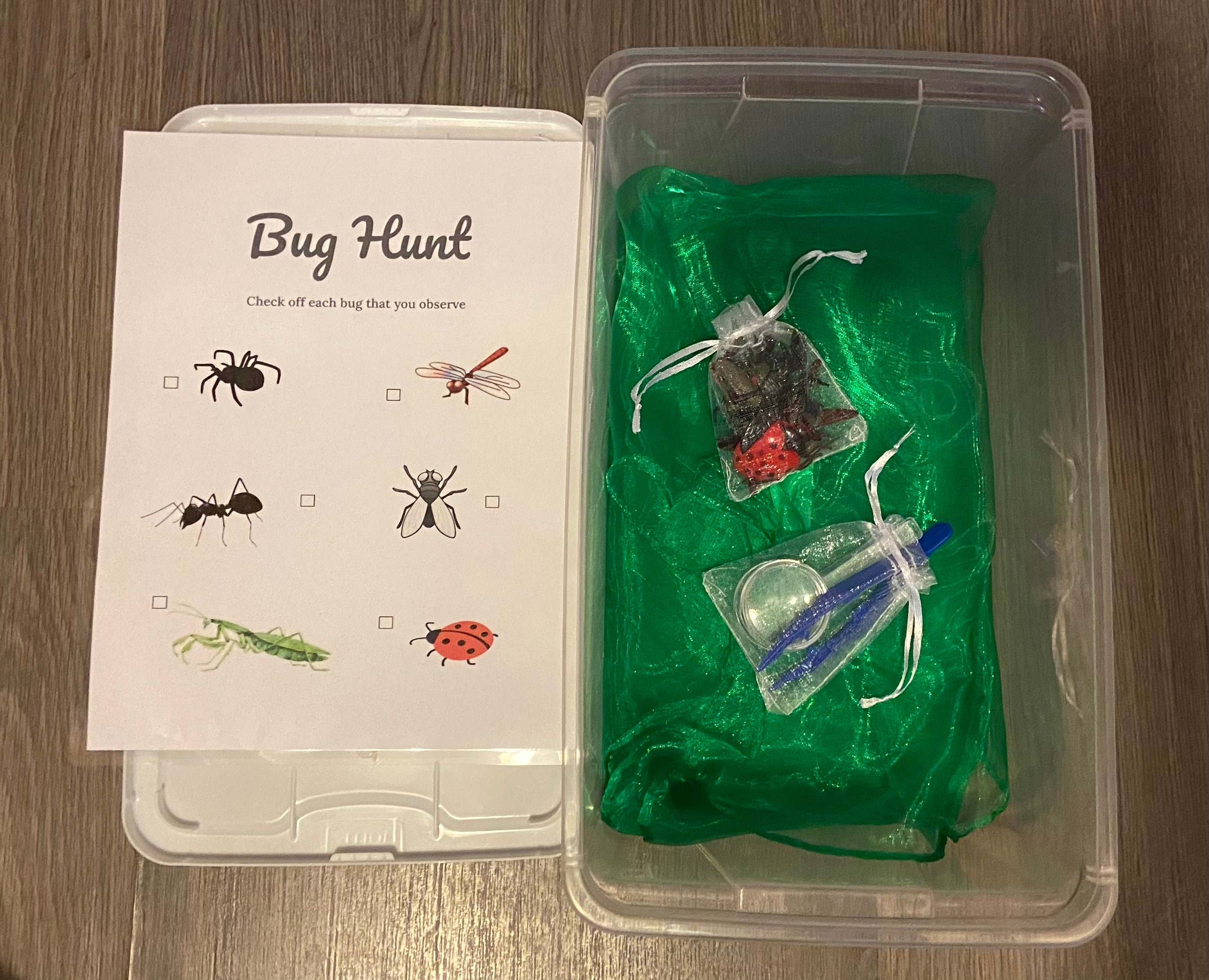 Garden Bug Hunt Sensory Bin - Etsy