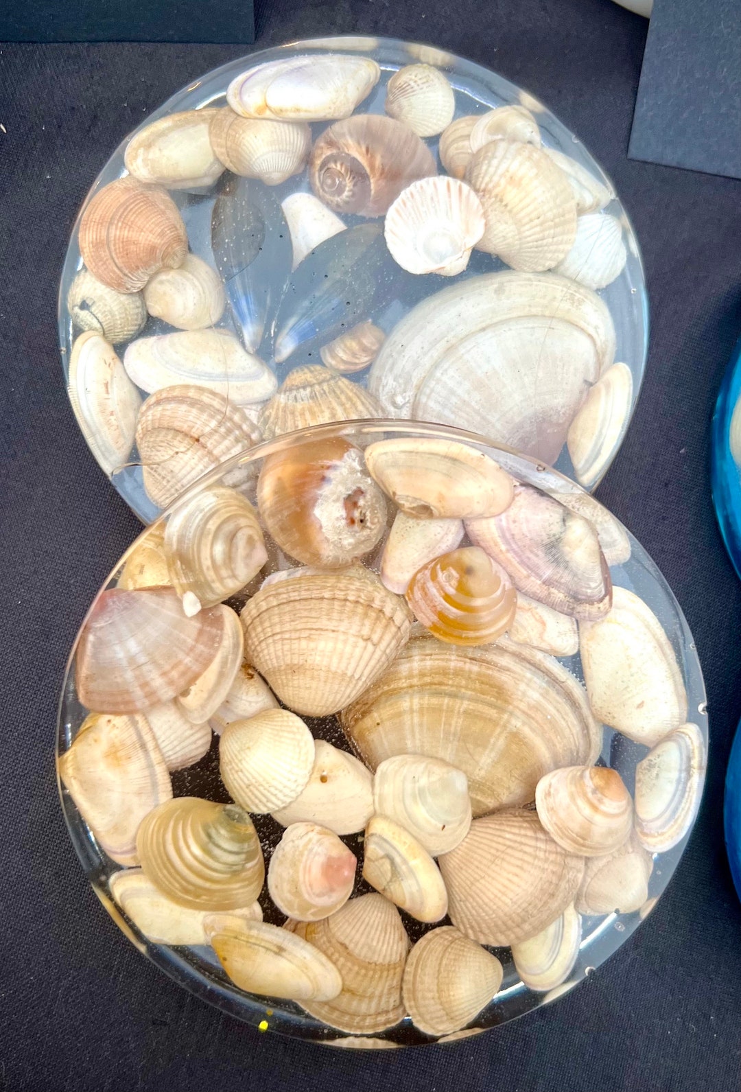 Shells From Blackpool Beach Coaster Wallhanging Paper Weight Window ...
