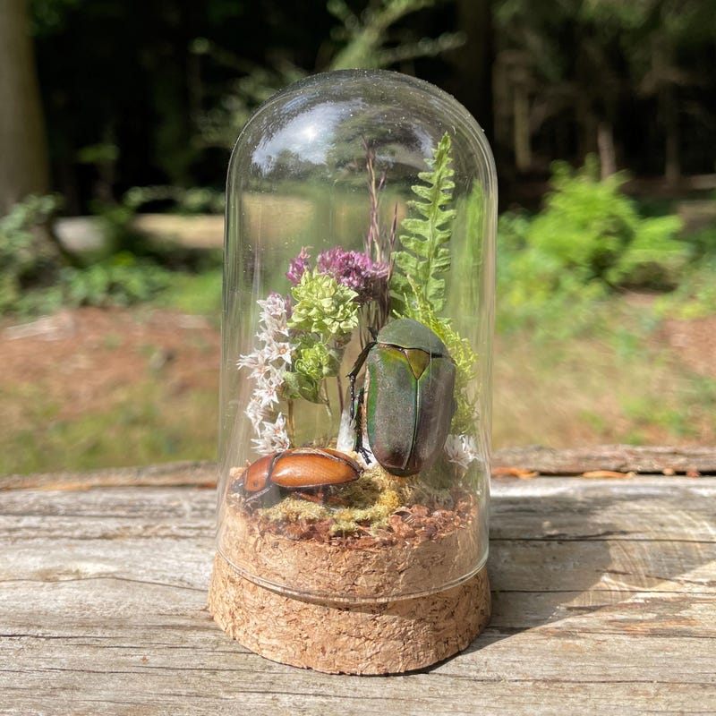 WoodlandOdditiesGB - Etsy