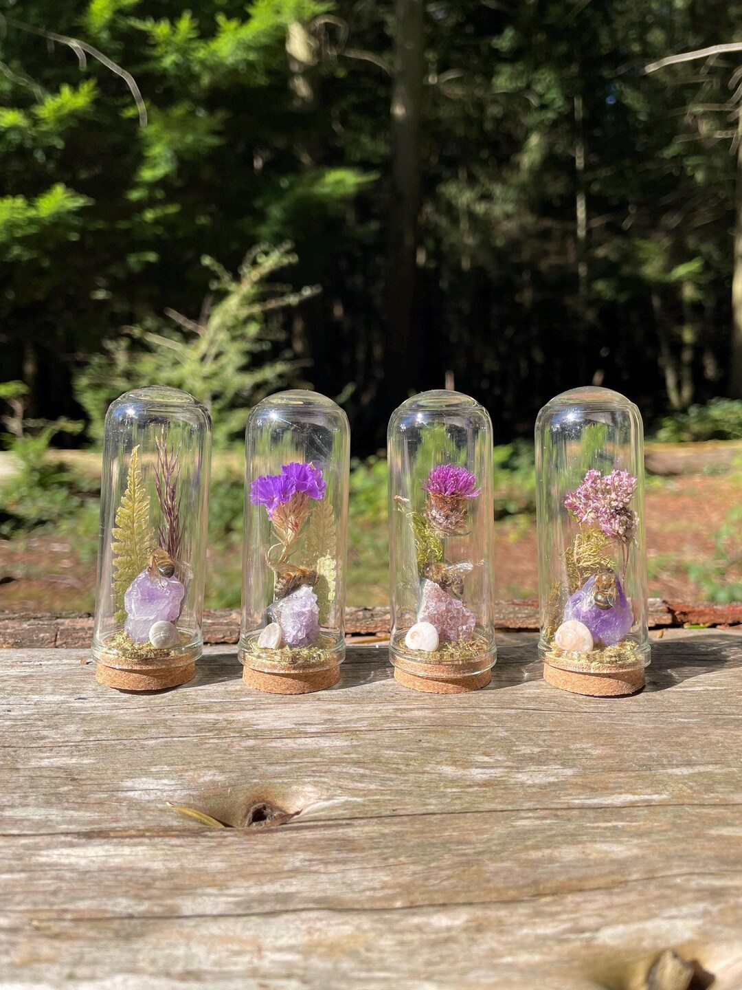 Mini Honeybee Display Domes Entomology Oddities & Curios - Etsy