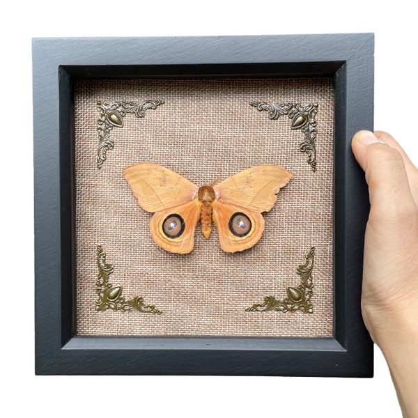 WoodlandOdditiesGB - Etsy