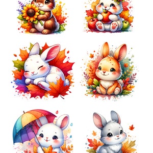 Autumn Bunny Digital Files Cute Bunny Clip Art - Etsy