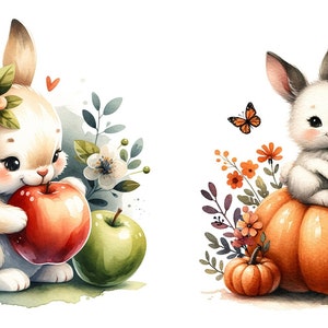 Autumn Bunny Digital Files Cute Bunny Clip Art Printable Rabbit - Etsy