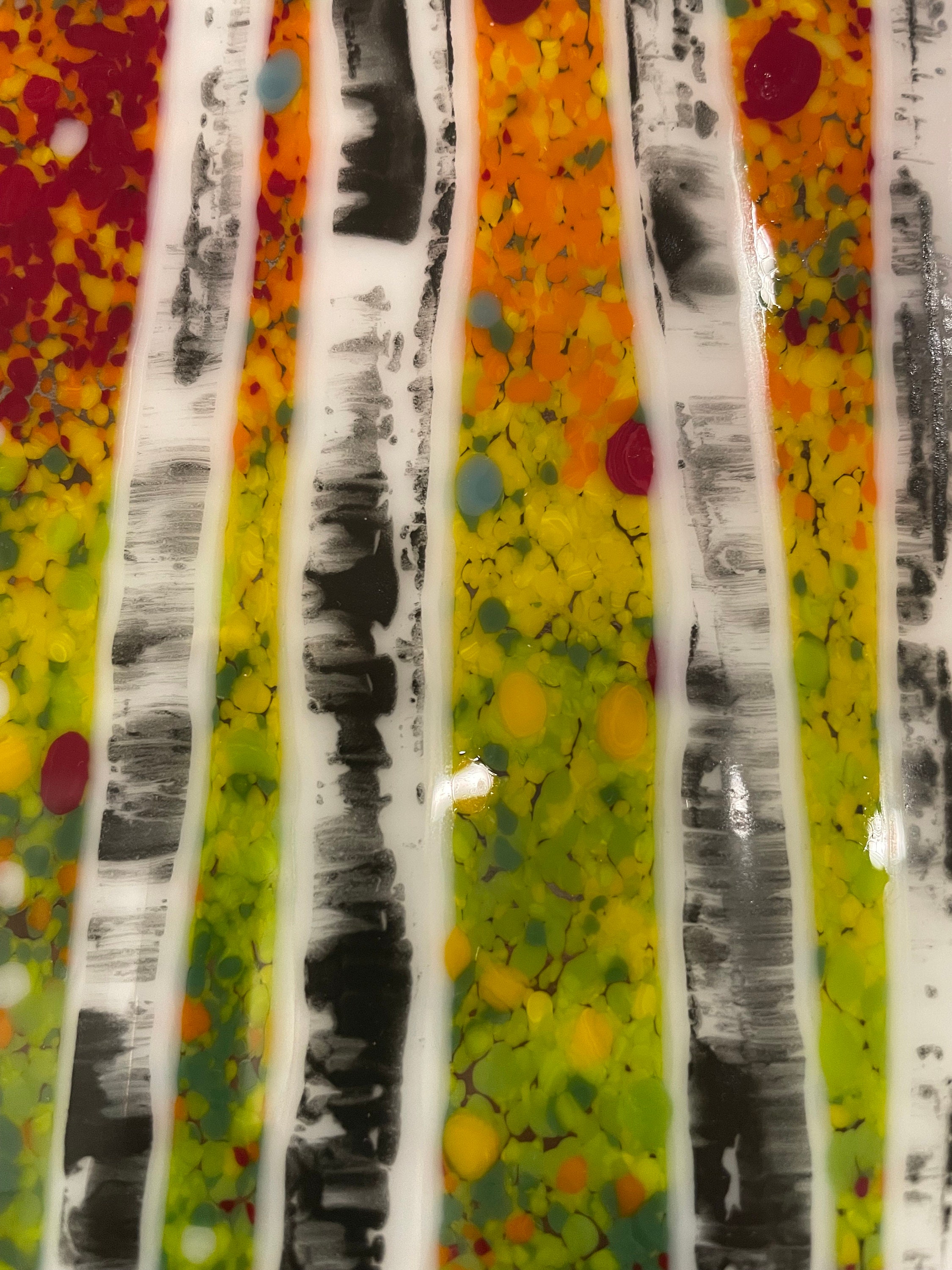 Aspen Tree Rainbow Panel - Etsy