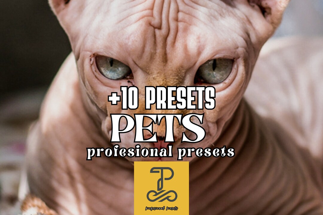 10 PETS Lightroom Mobile & Desktop Presets | Animal Presets, Dog ...