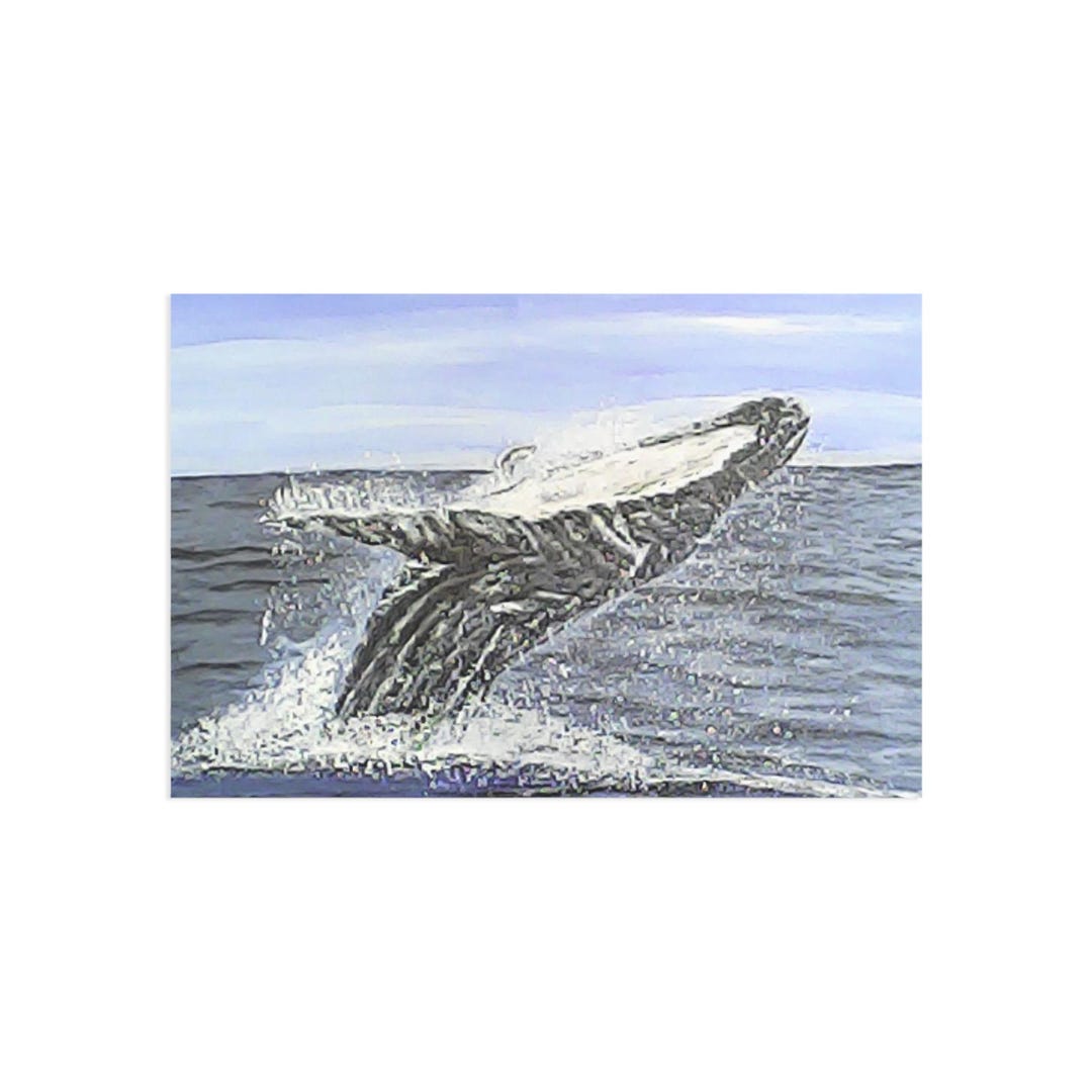 Whale Fine Art Postcards, Coastal Marine Life Stationery - Etsy