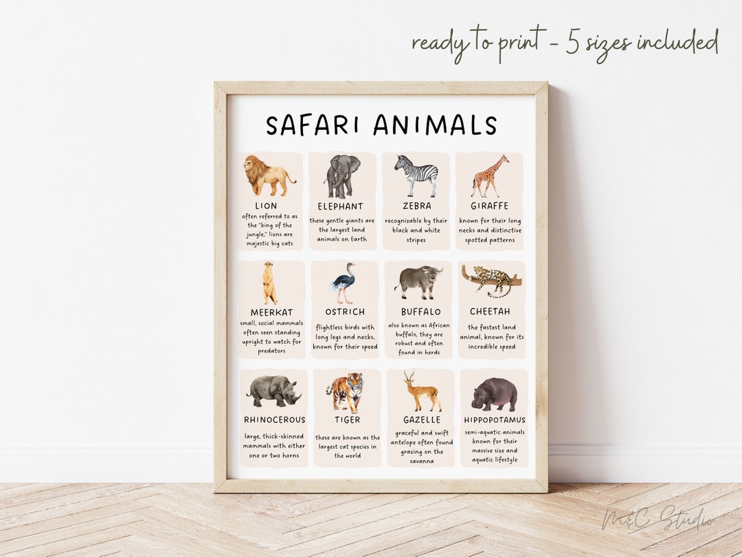 Safari Animals Education Poster Montessori Education - Etsy