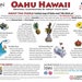 Oahu Hawaii Jigsaw Puzzle - 500 Pieces - Made in USA - Etsy