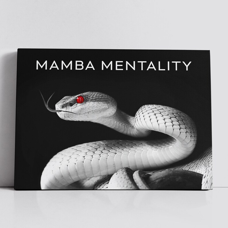 Mamba Mentality Red Eye Snake Motivational Inspirational, Framed Canvas ...