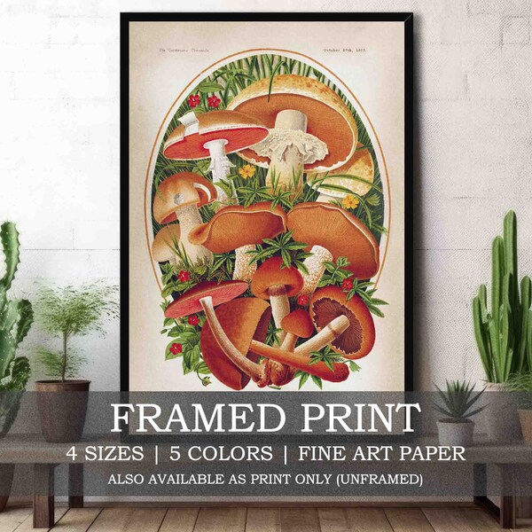 Antique Poisonous Fungi - Etsy